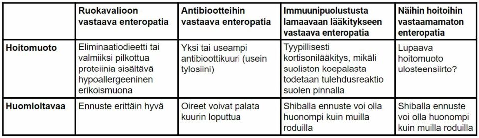 Shiba ja krooninen enteropatia – Shibaloginen blogi